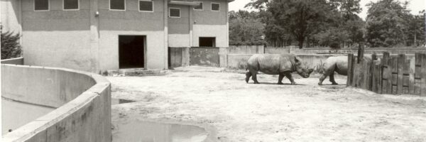 Zoo History - Virginia Zoo in Norfolk