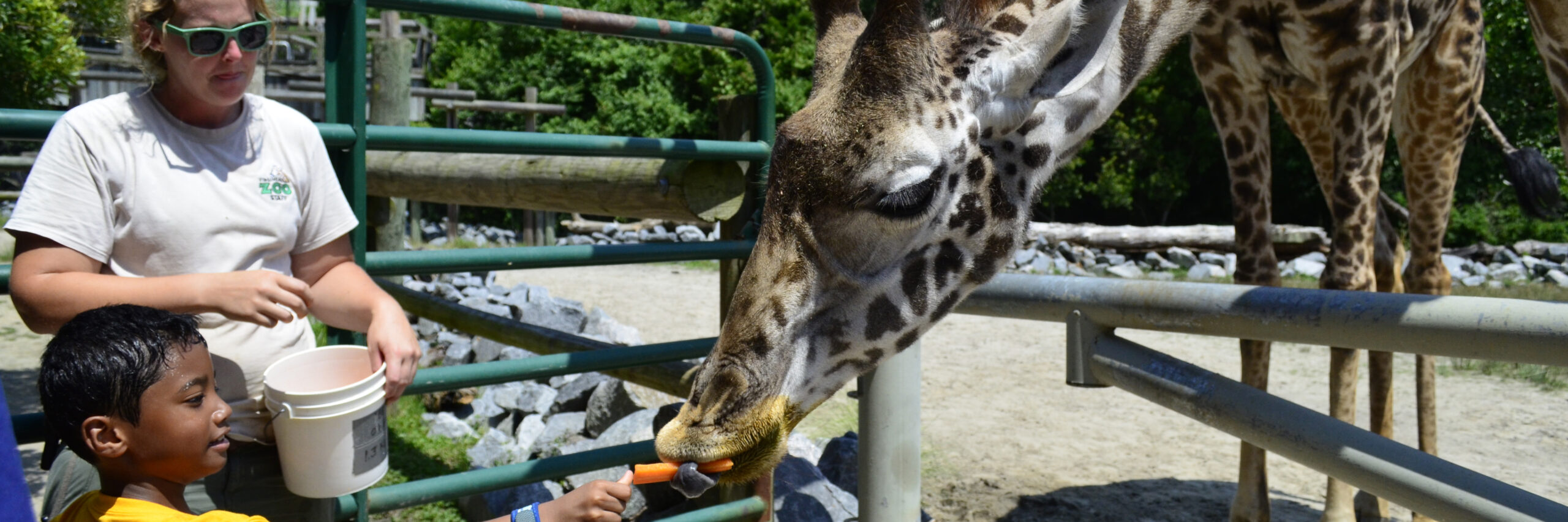 Visit the Virginia Zoo Animals Today!