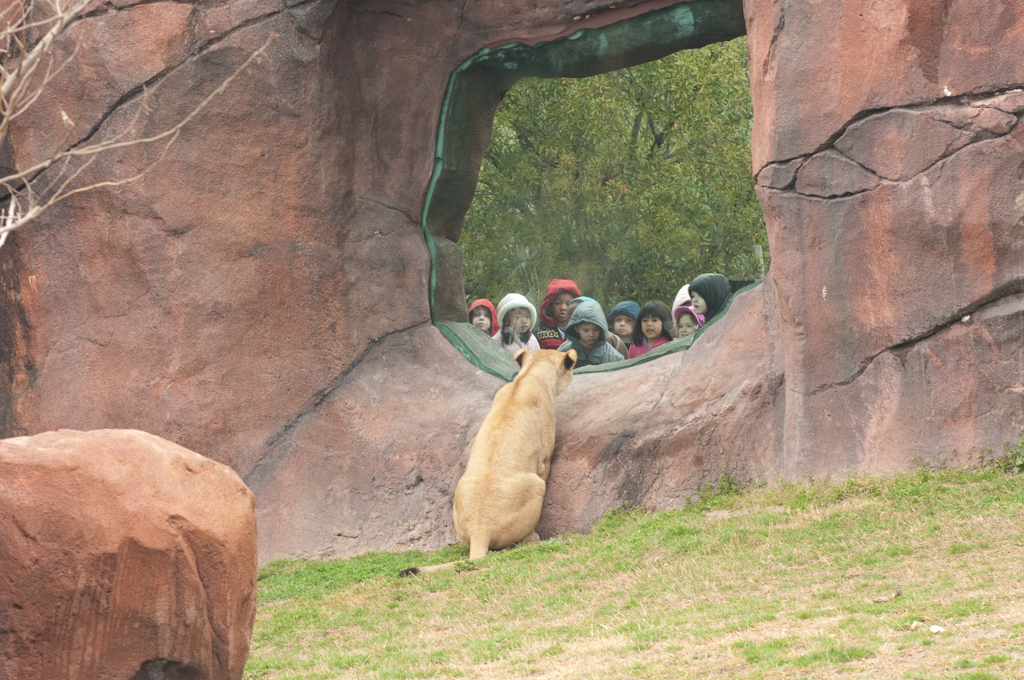 Visit the Virginia Zoo Animals Today!