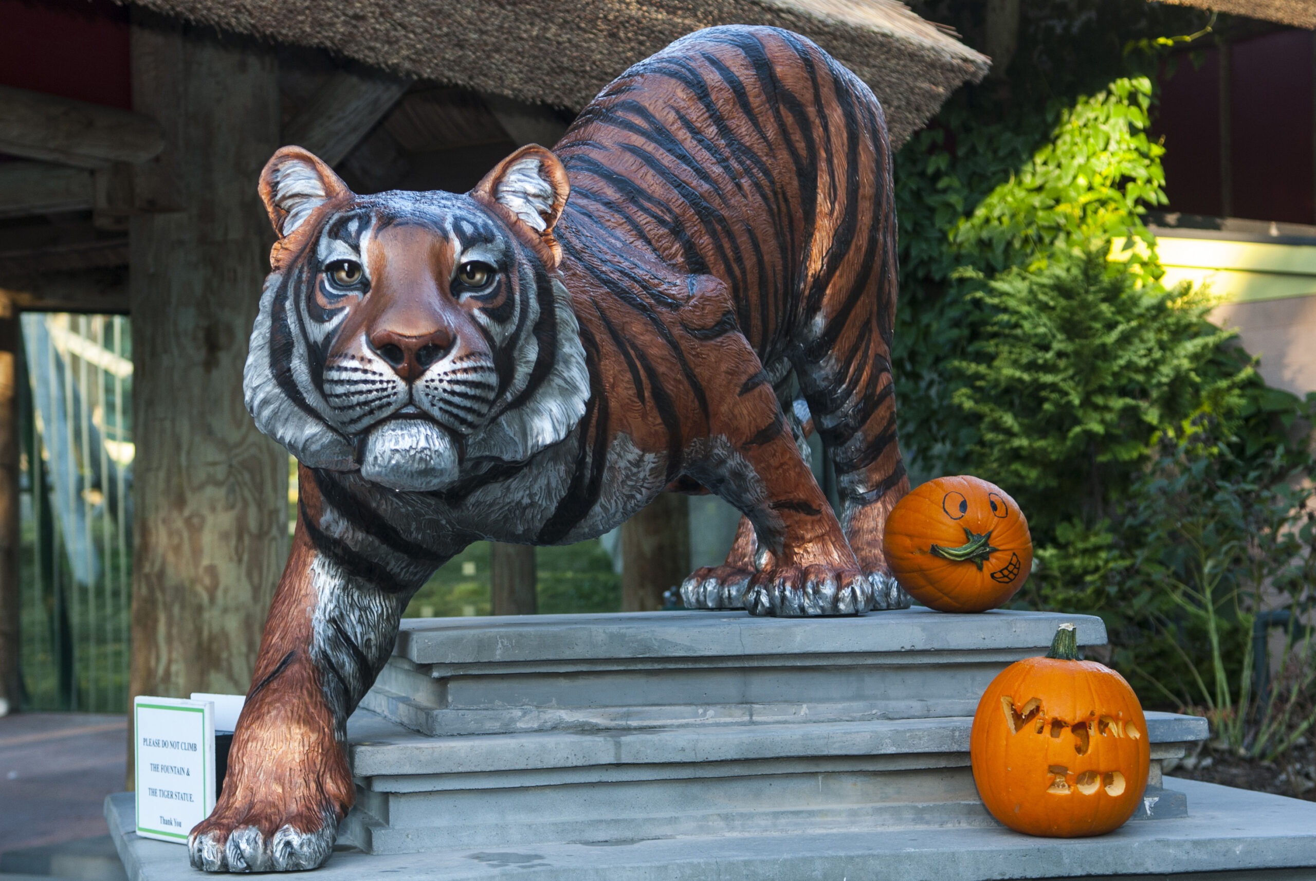 Visit the Virginia Zoo Animals Today!
