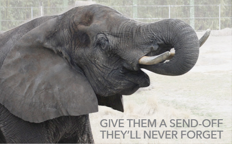 Visit the Virginia Zoo Animals Today!