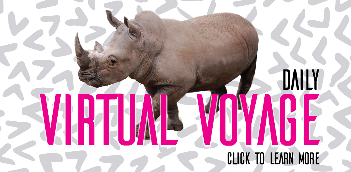 Things to Do in Norfolk: The Virginia Zoo