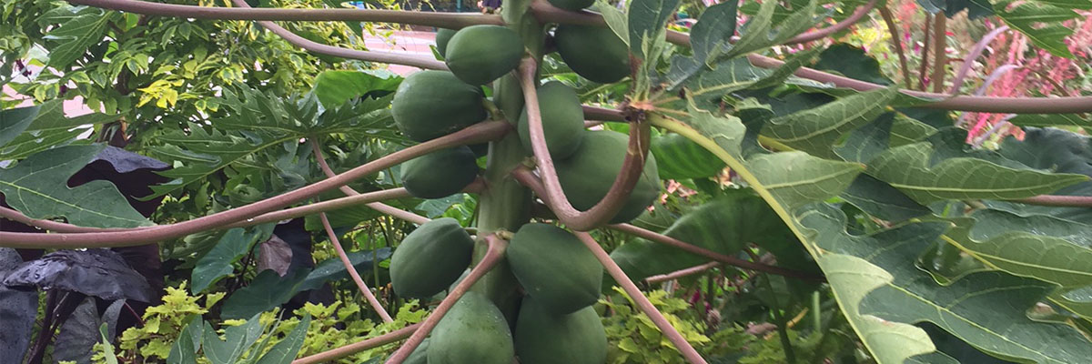 Visit the Virginia Zoo Animals Today!