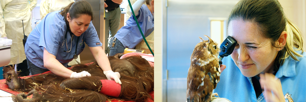 Dr. Guthrie to Join the Zoological Society of London - Virginia Zoo in ...