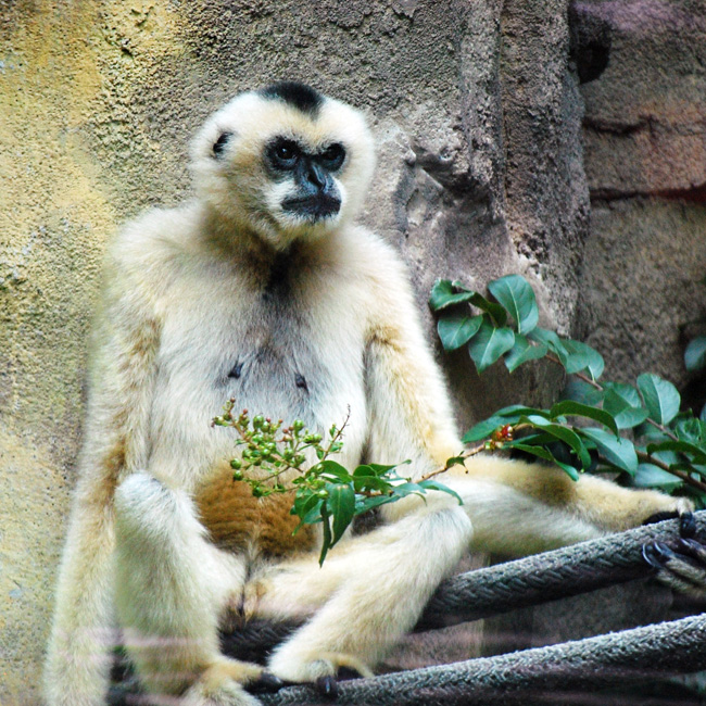 Visit the Virginia Zoo Animals Today!