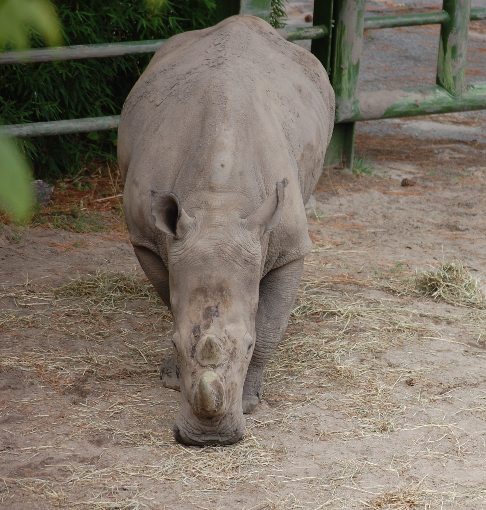 Visit the Virginia Zoo Animals Today!
