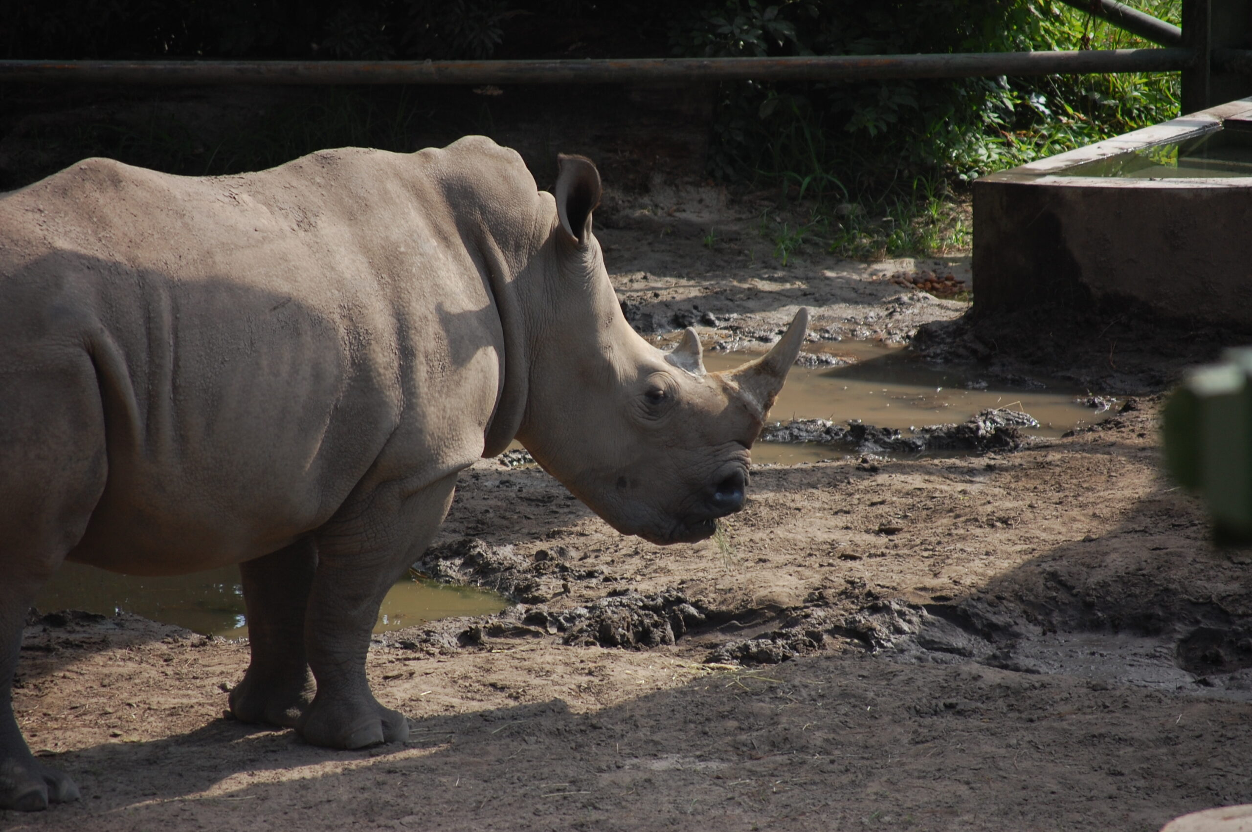 Visit the Virginia Zoo Animals Today!