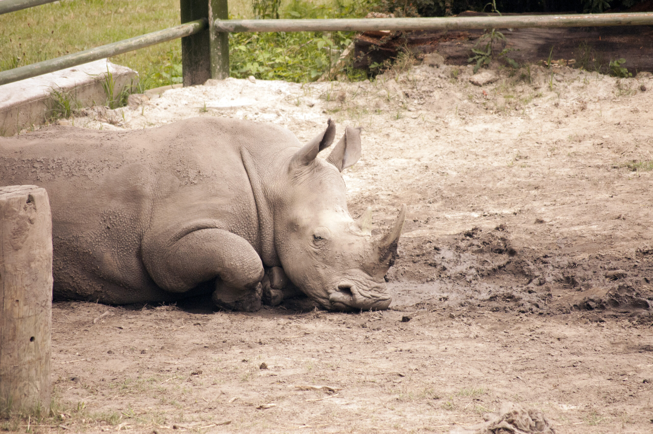 Visit the Virginia Zoo Animals Today!