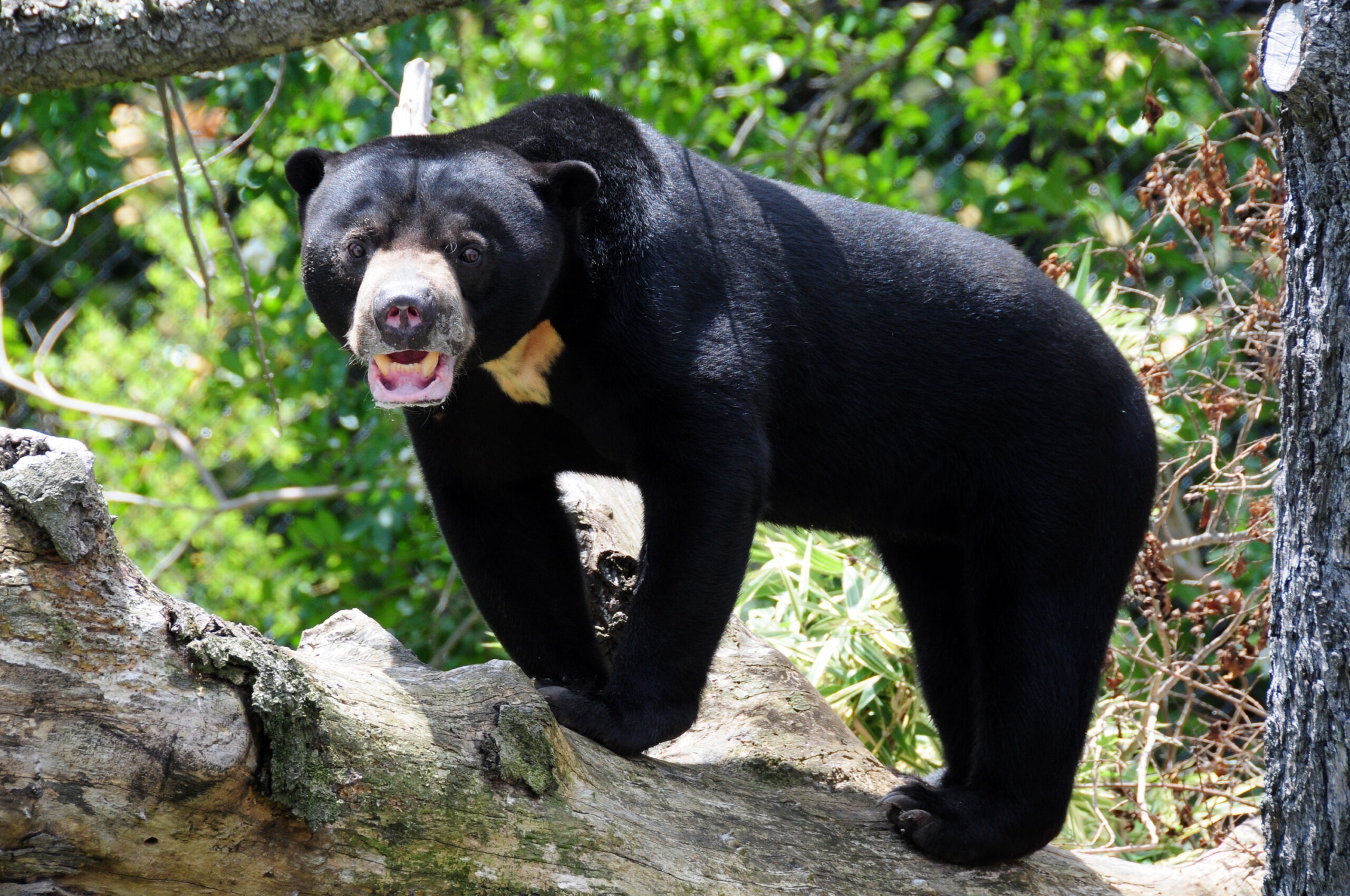 Visit the Virginia Zoo Animals Today!