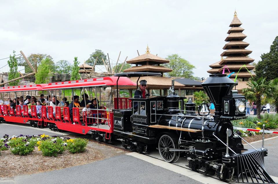 Visit the Virginia Zoo Animals Today!