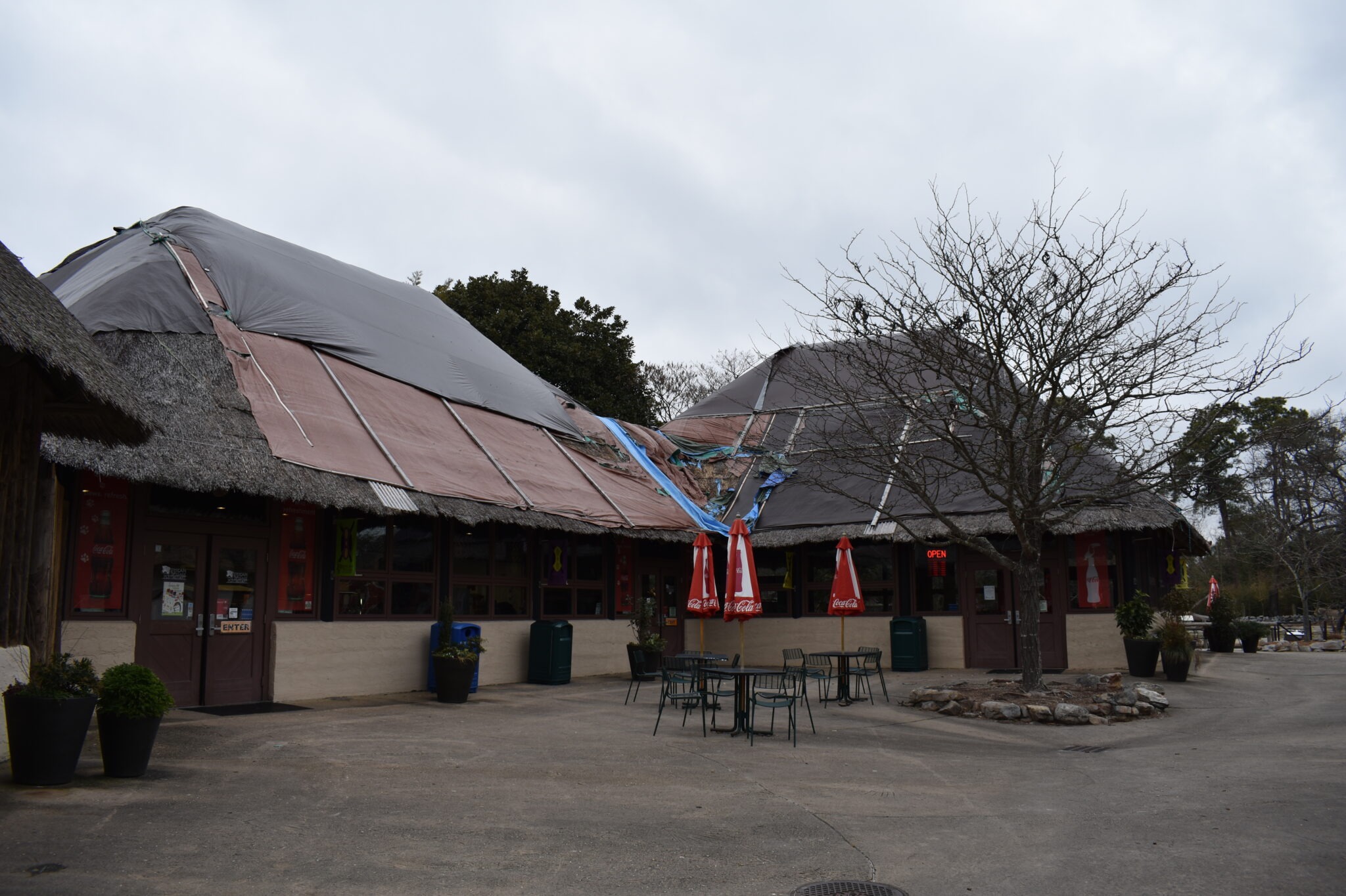 Visit the Virginia Zoo Animals Today!