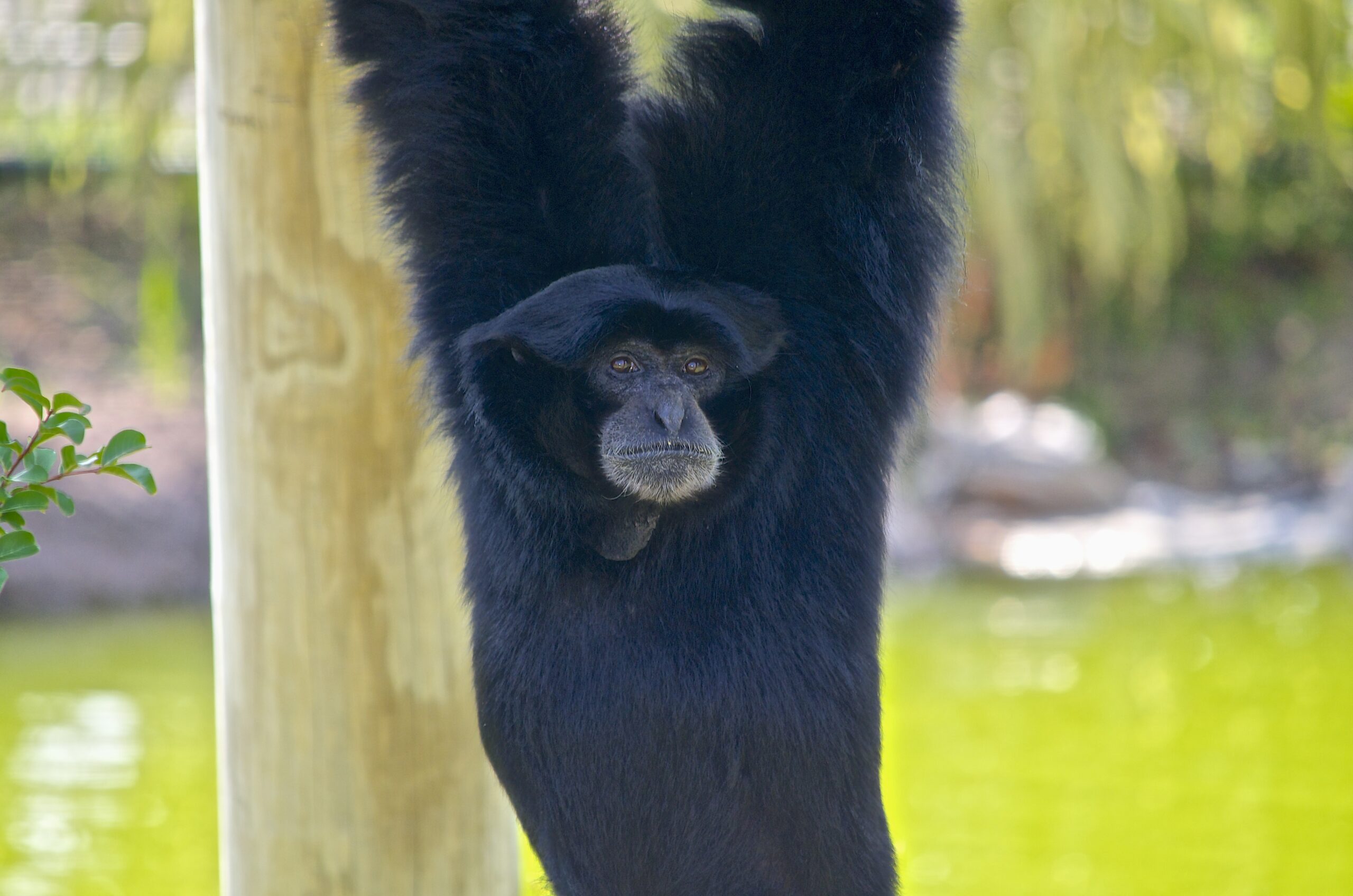 Visit the Virginia Zoo Animals Today!