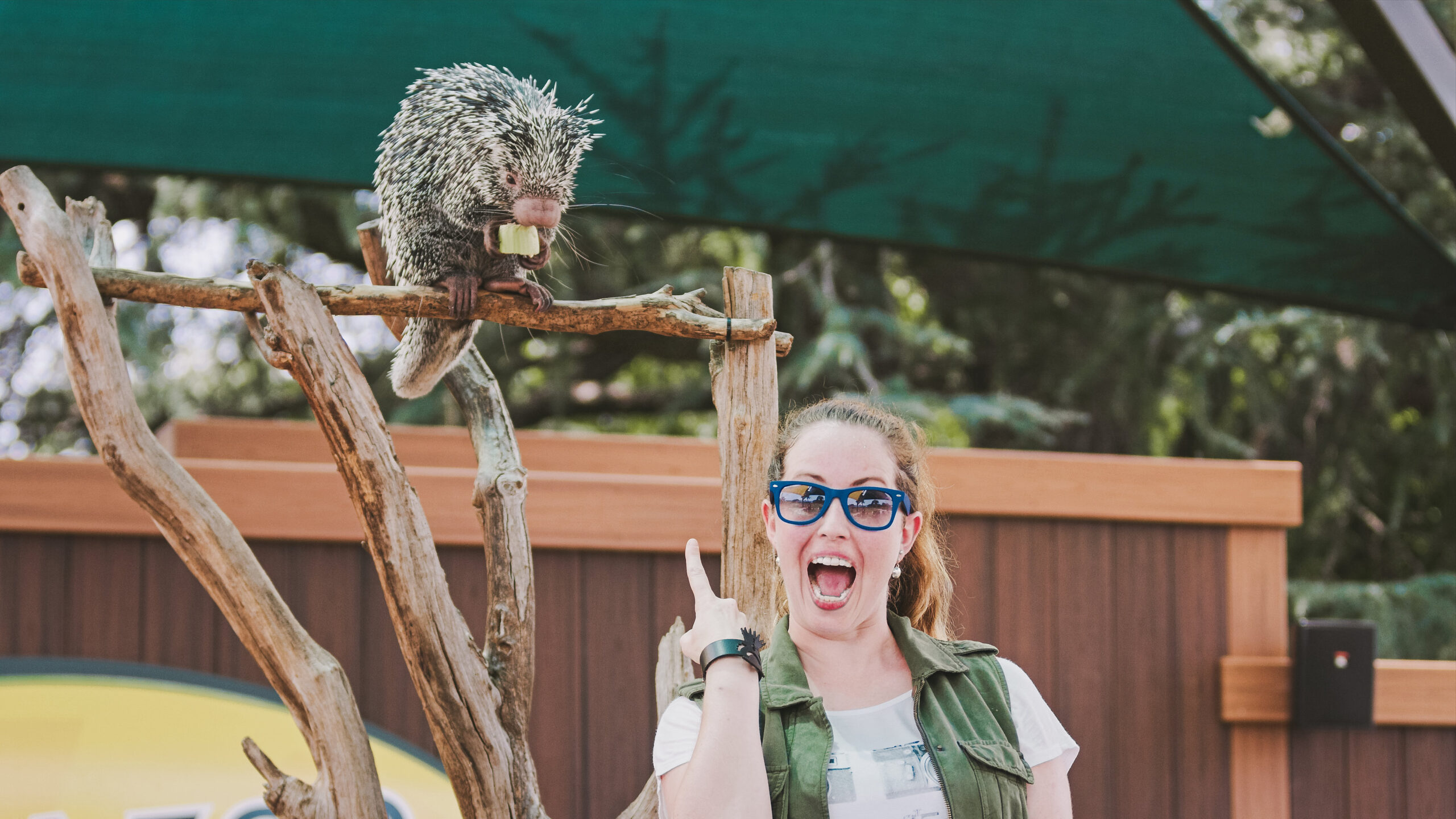 Visit the Virginia Zoo Animals Today!