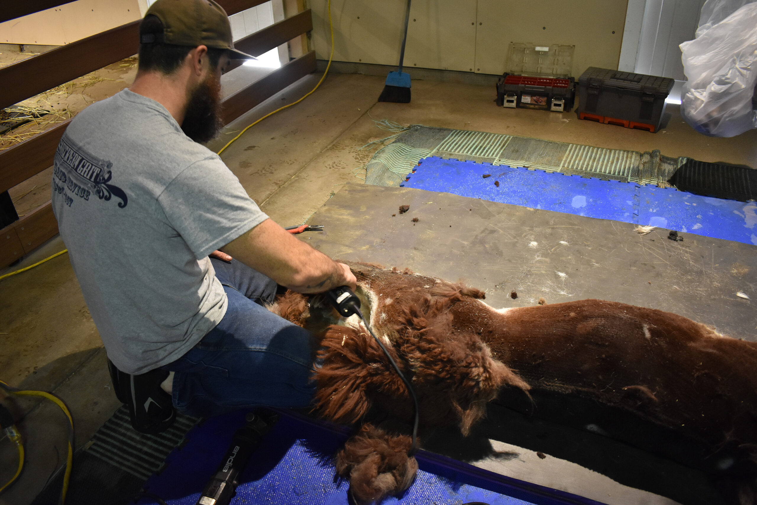 Visit the Virginia Zoo Animals Today!