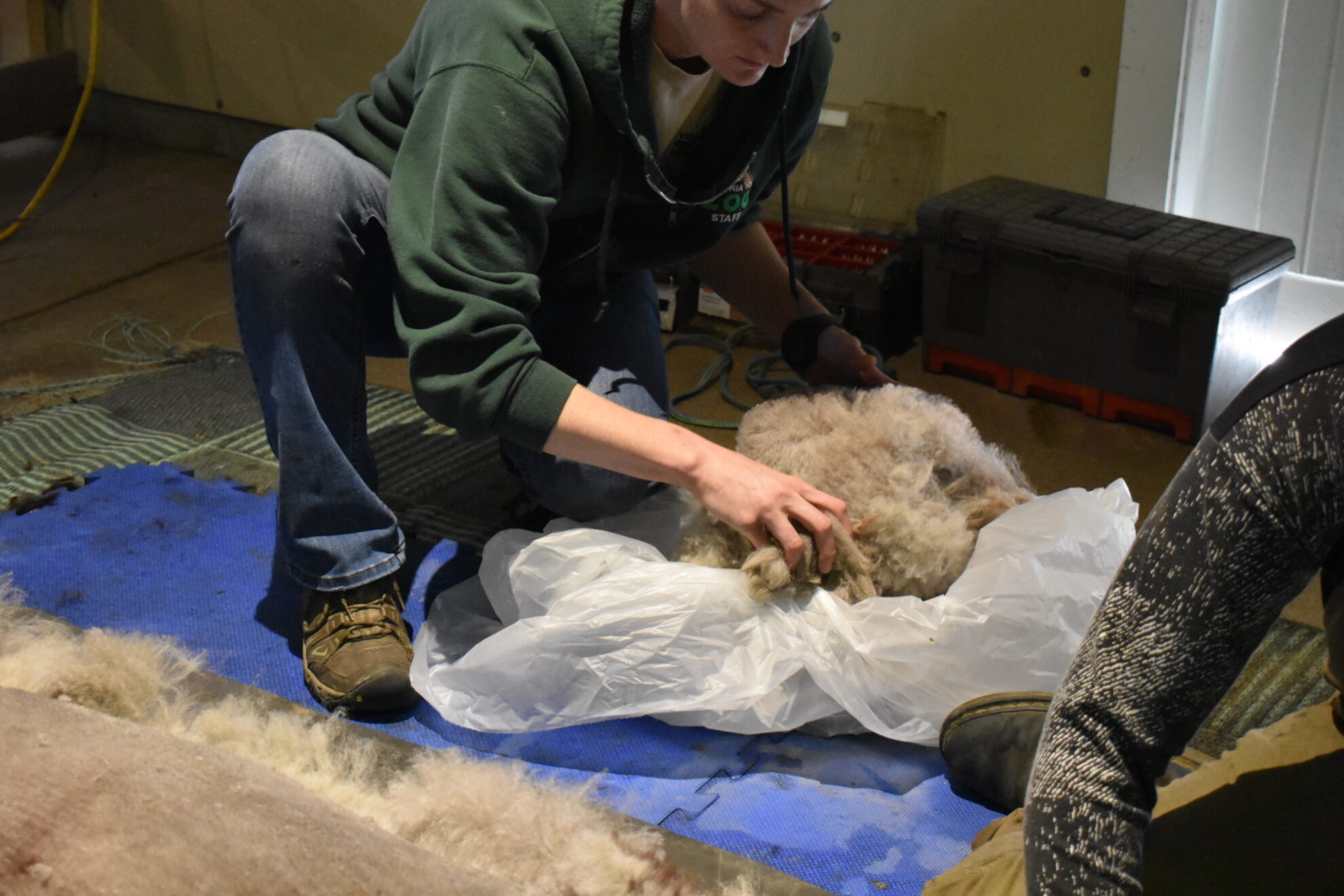 Visit the Virginia Zoo Animals Today!