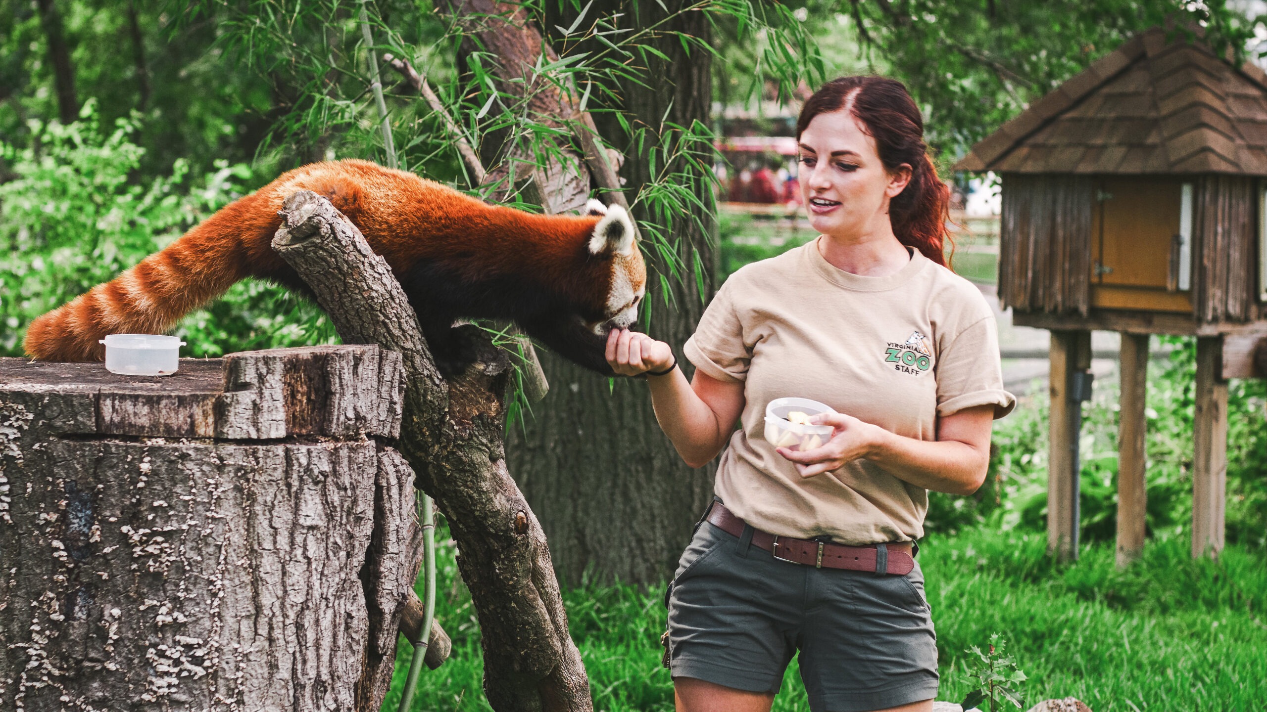 Visit the Virginia Zoo Animals Today!