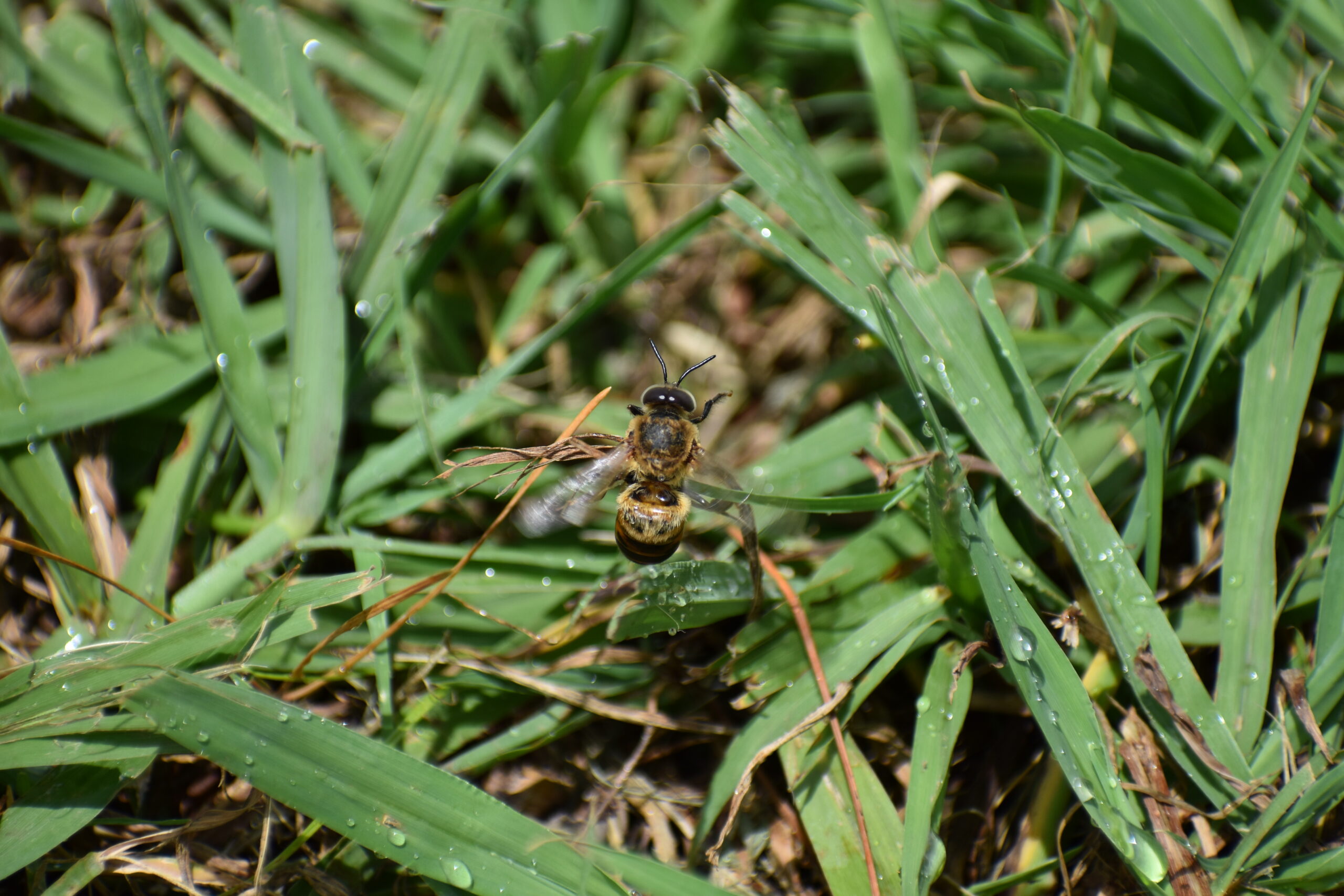 Visit the Virginia Zoo Animals Today!