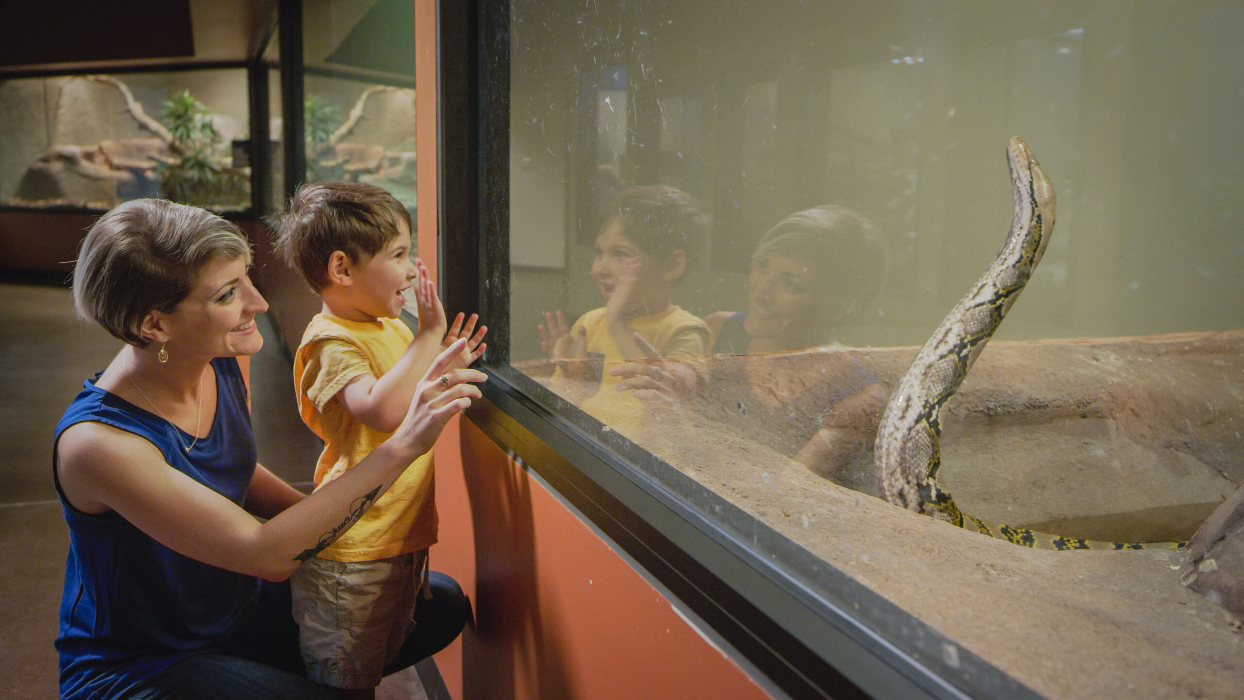 Visit the Virginia Zoo Animals Today!