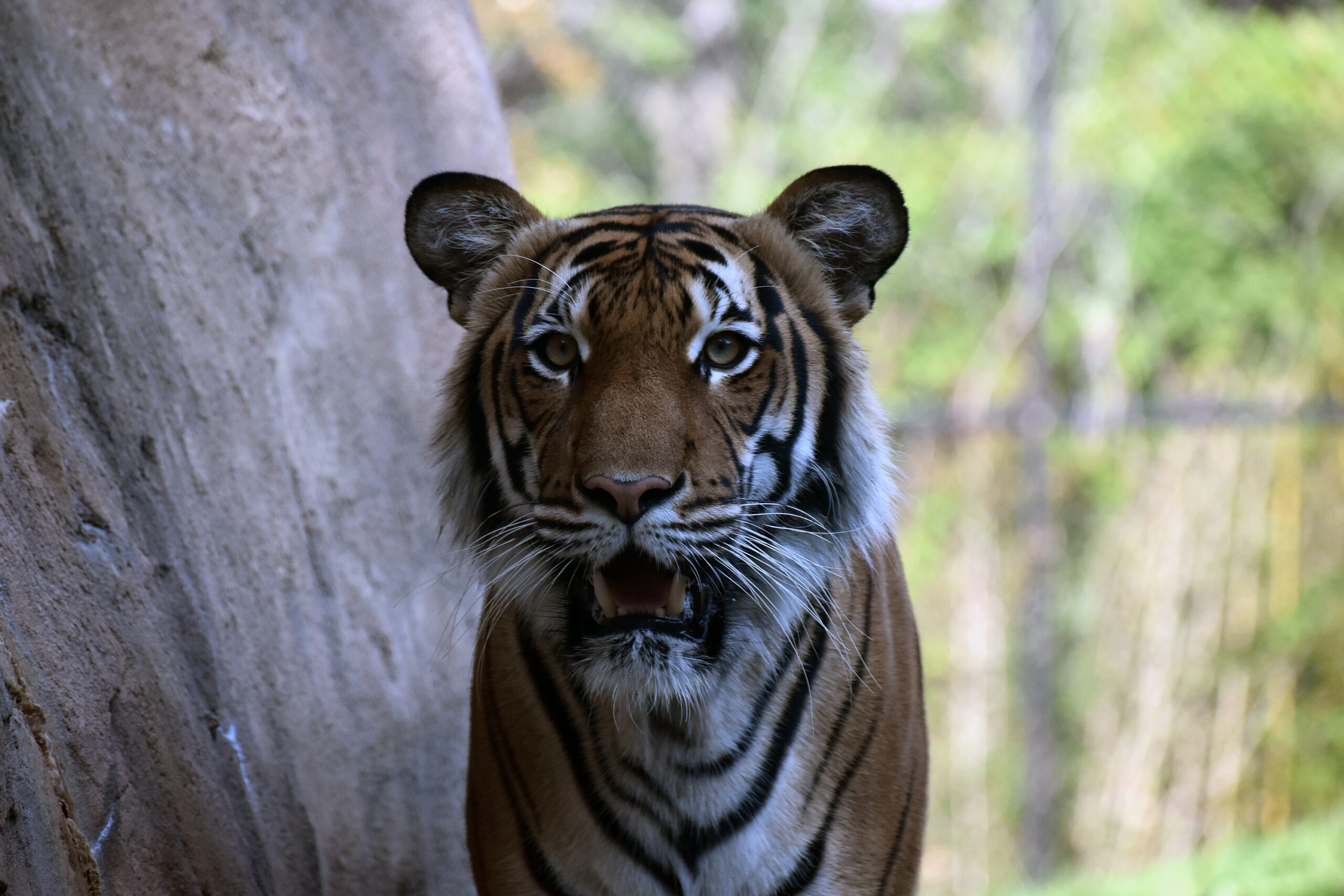 Visit the Virginia Zoo Animals Today!