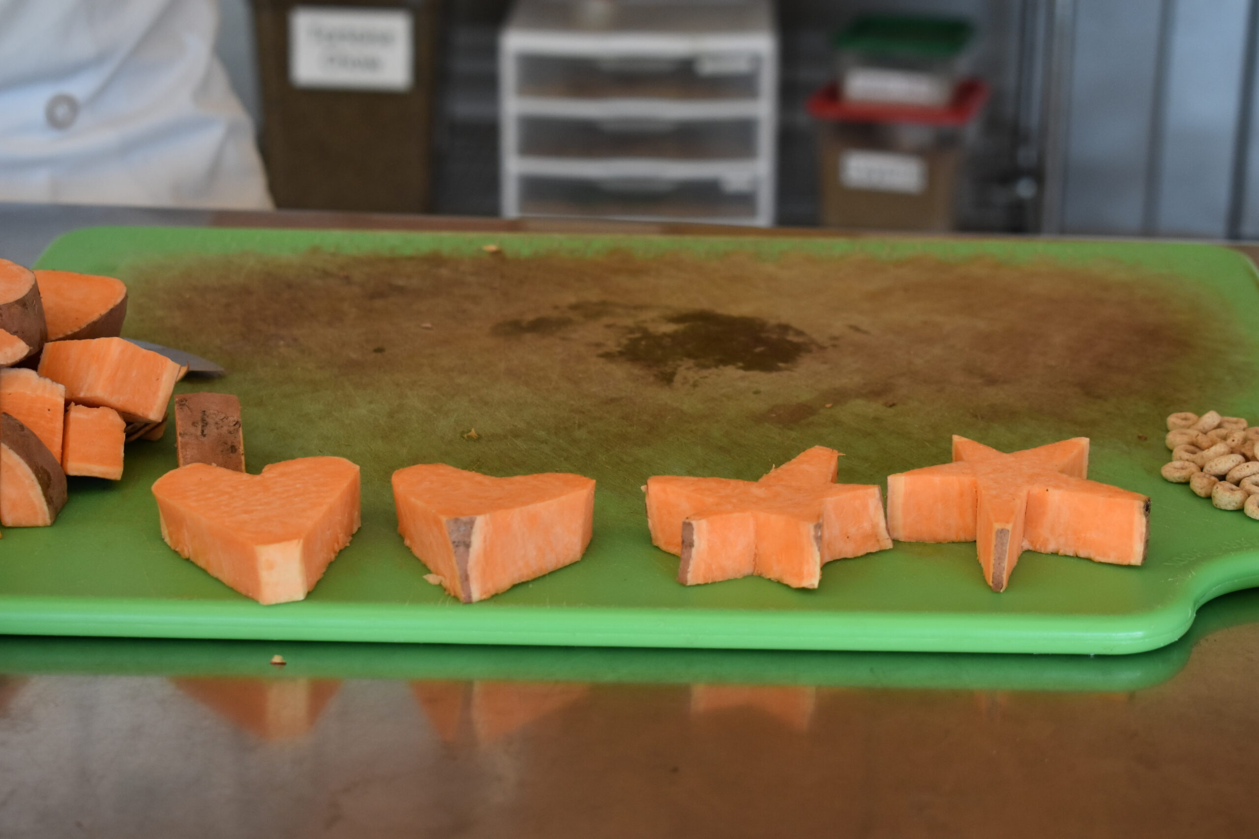 Visit The Virginia Zoo Animals Today