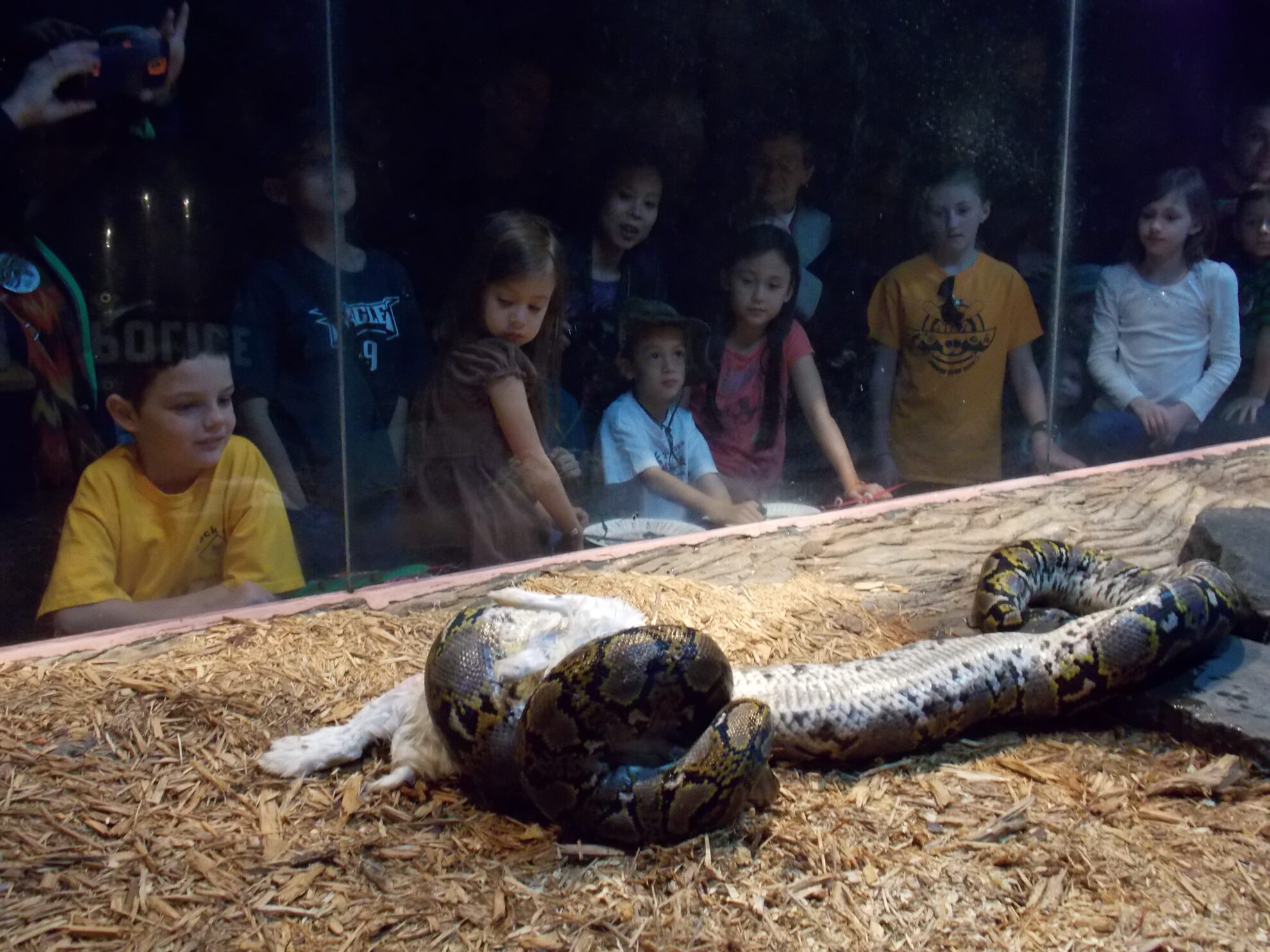 Visit the Virginia Zoo Animals Today!