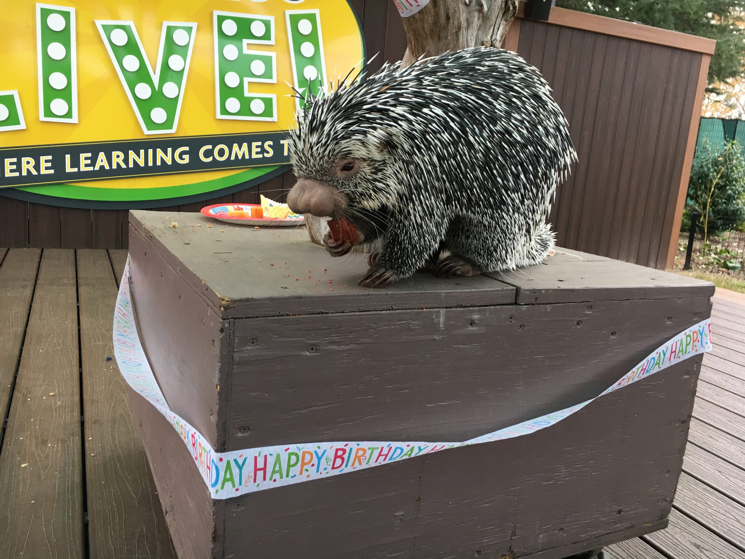 Visit the Virginia Zoo Animals Today!