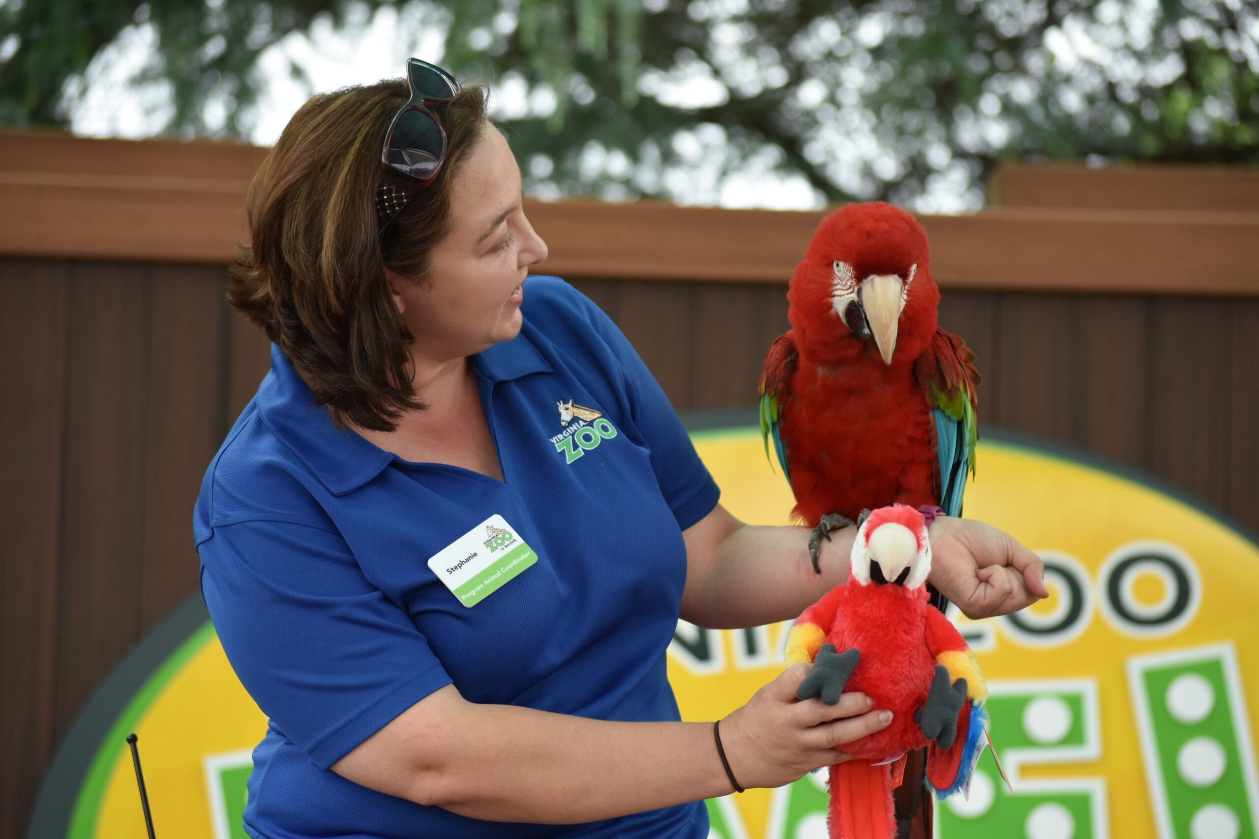 Visit The Virginia Zoo Animals Today