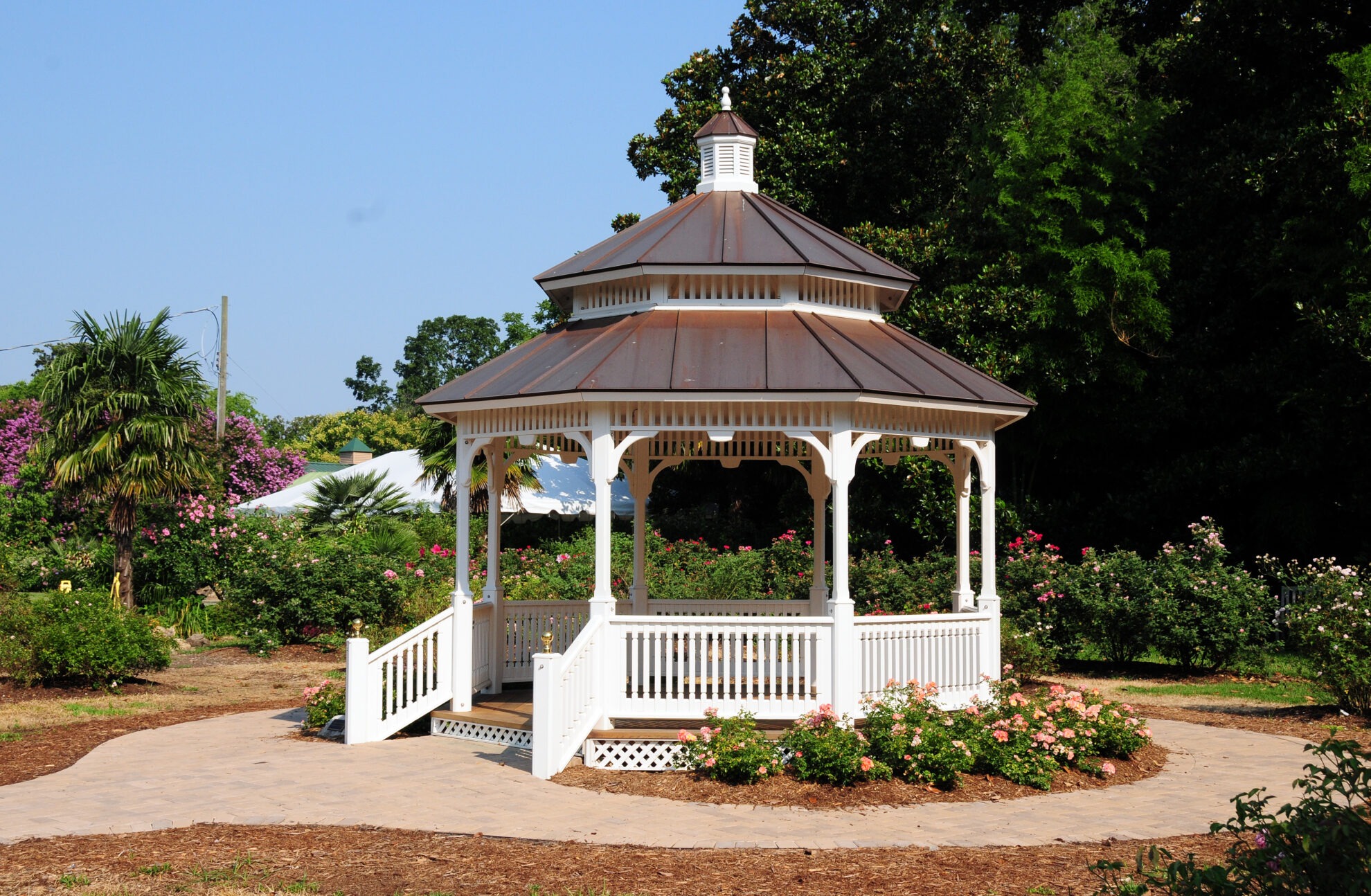 Visit the Virginia Zoo Animals Today!