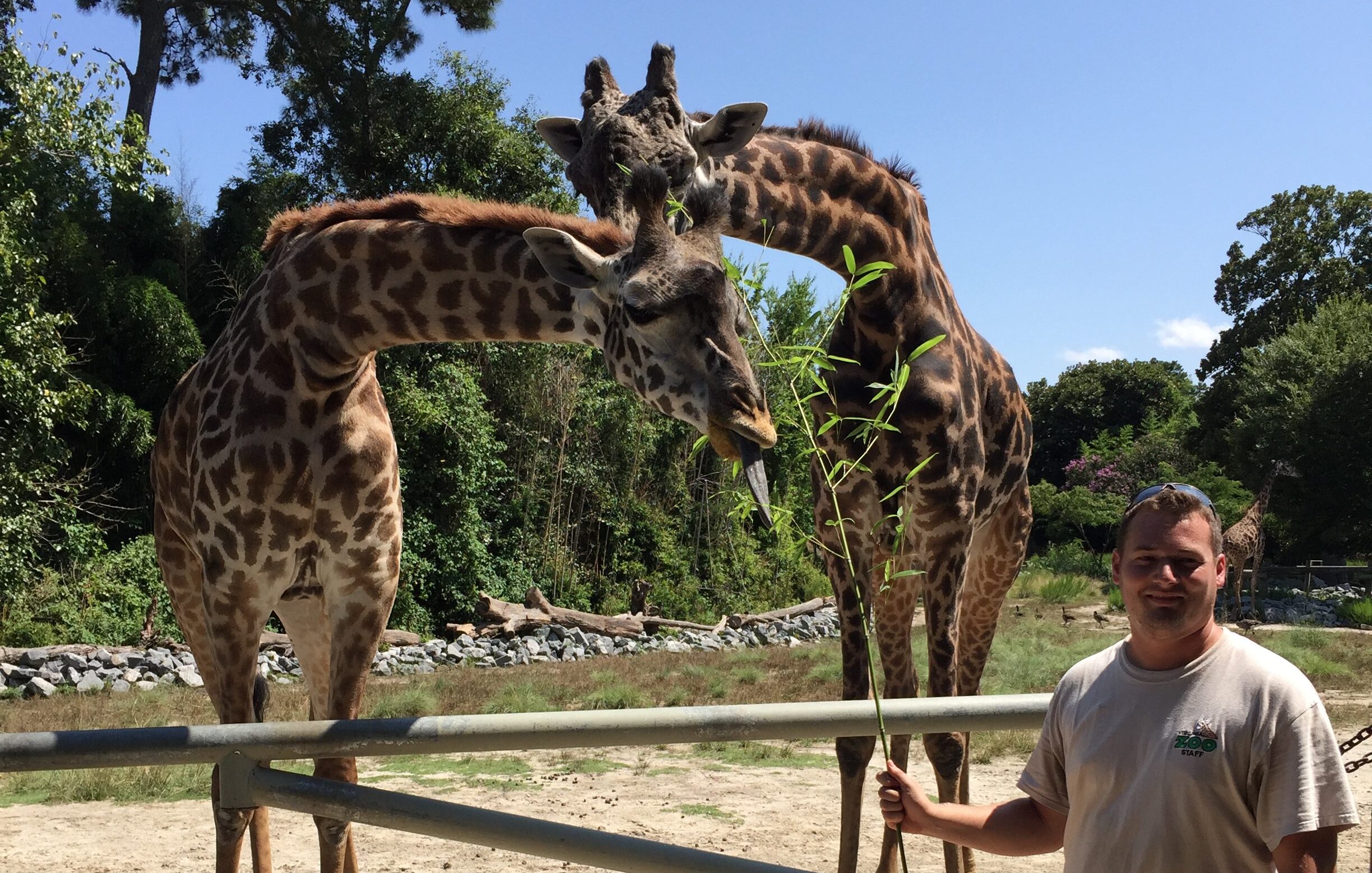 Visit the Virginia Zoo Animals Today!