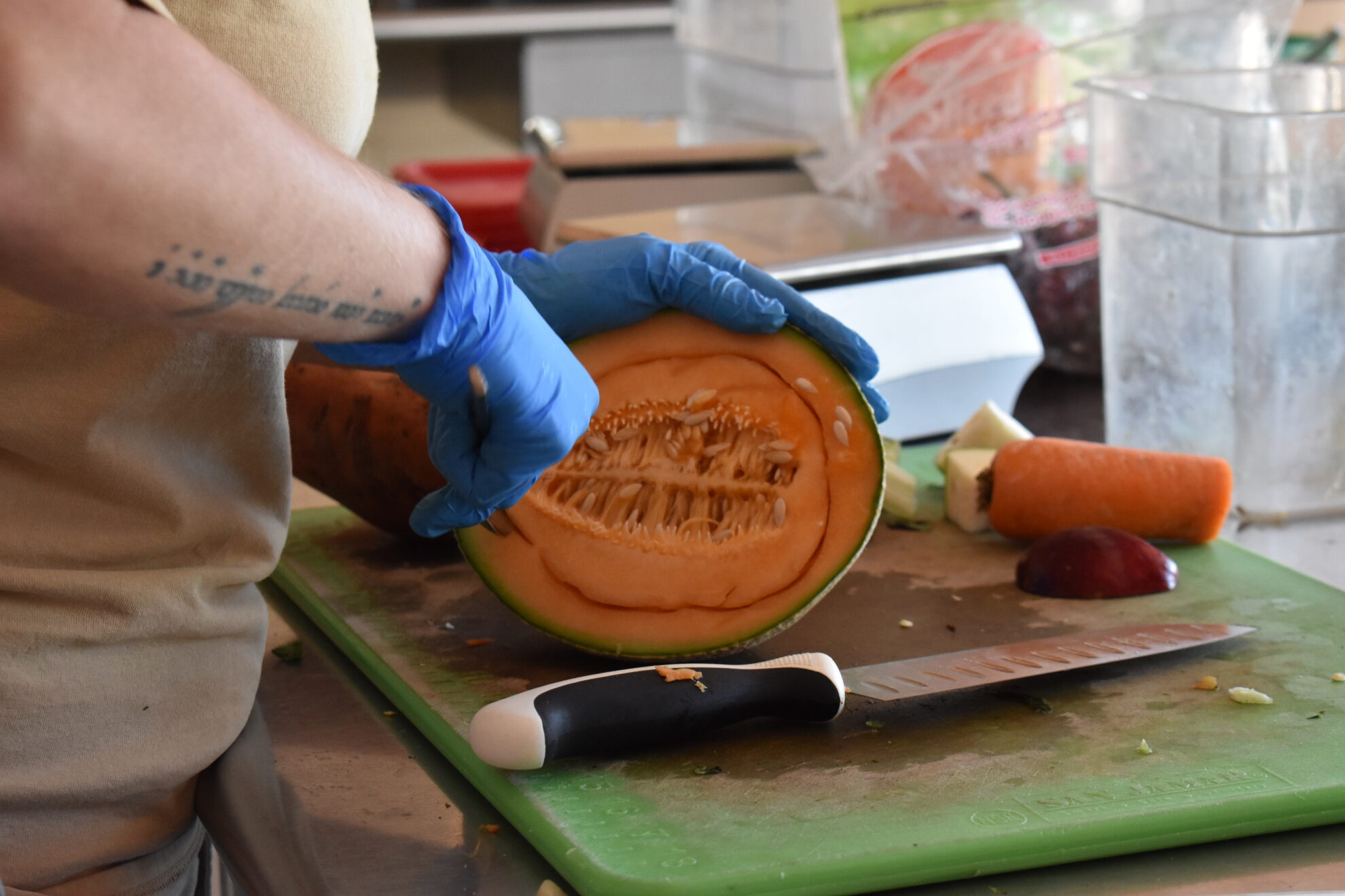 Visit the Virginia Zoo Animals Today!