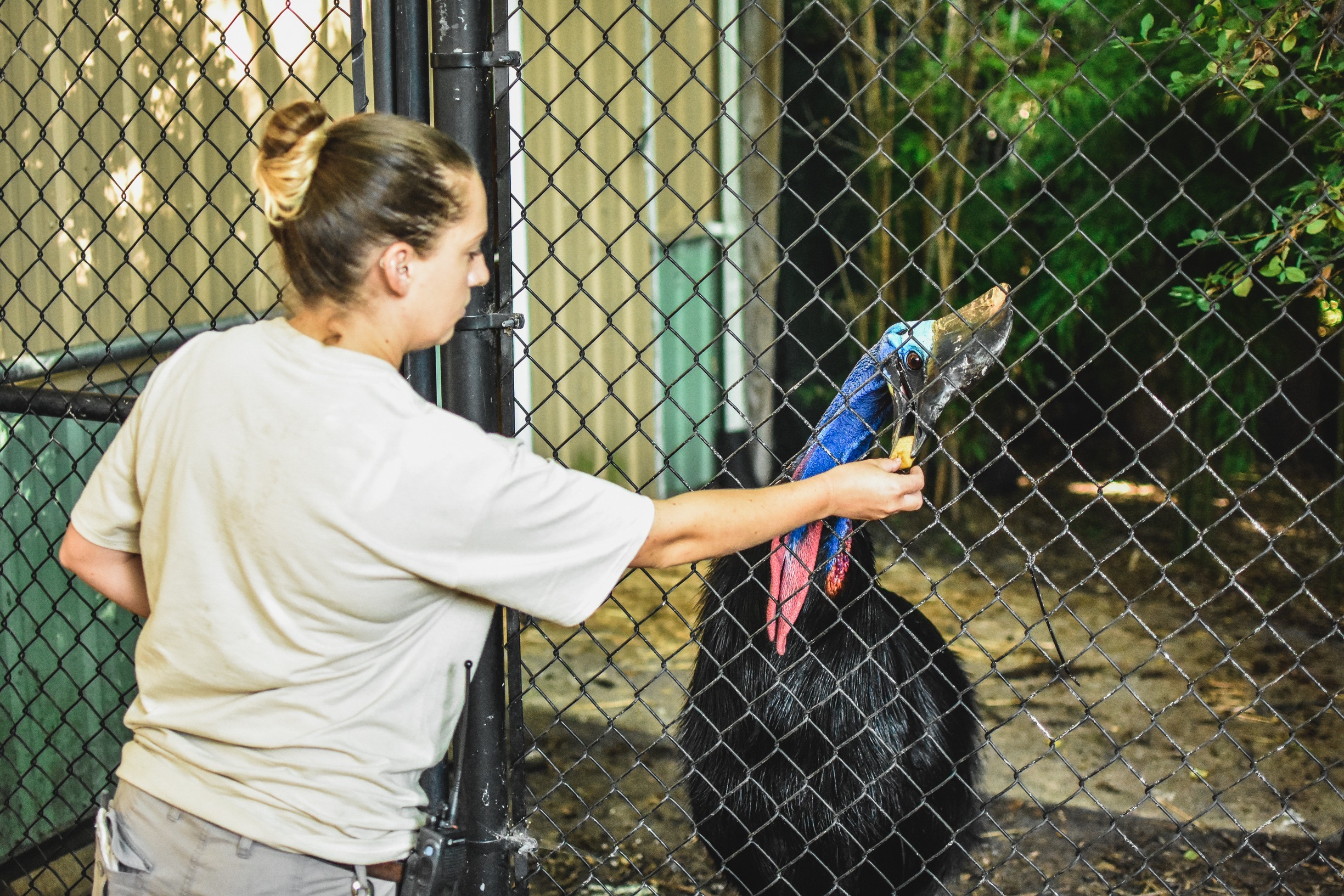 Visit the Virginia Zoo Animals Today!