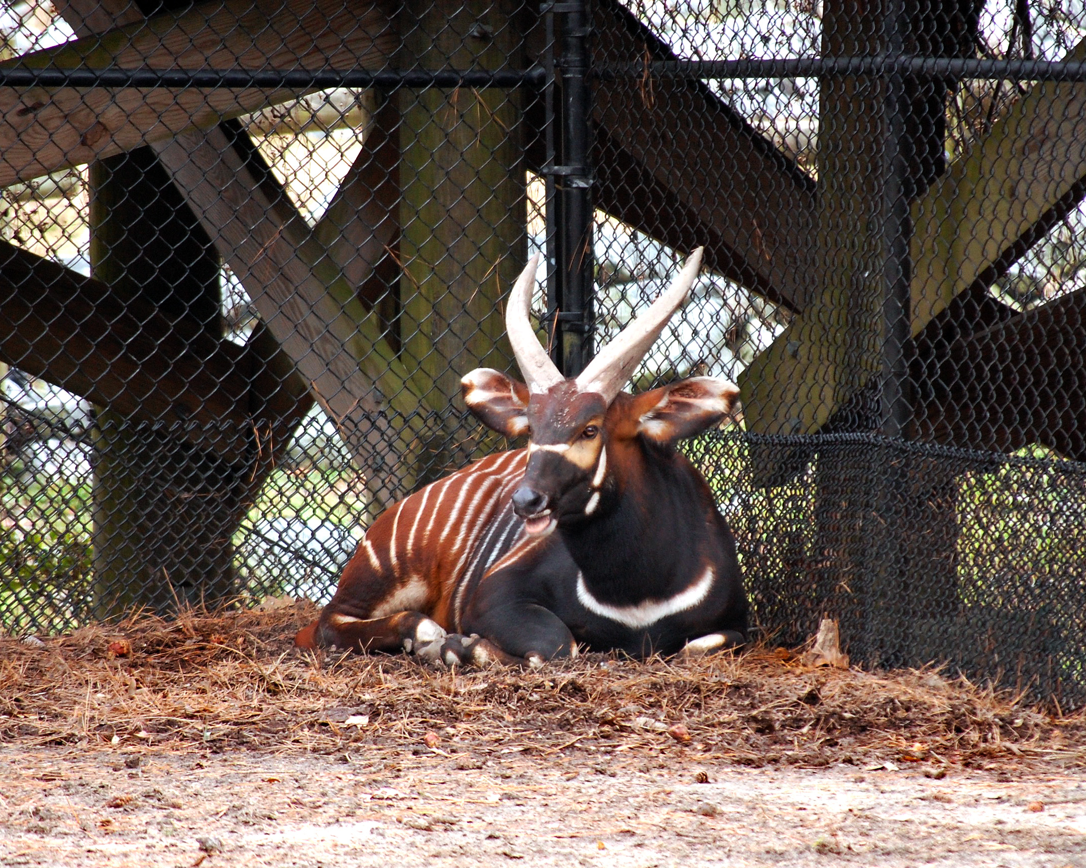 Visit the Virginia Zoo Animals Today!
