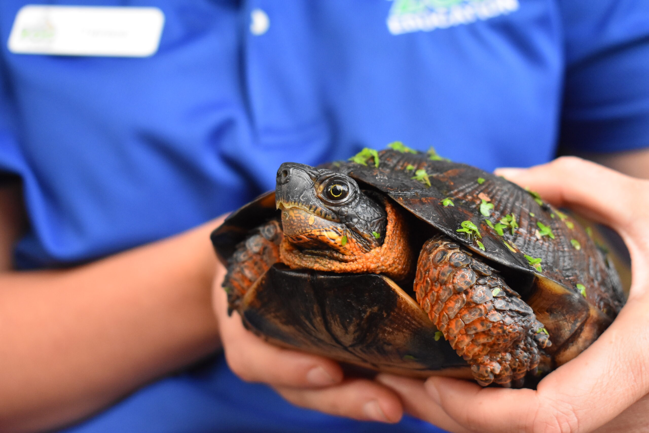 Visit the Virginia Zoo Animals Today!
