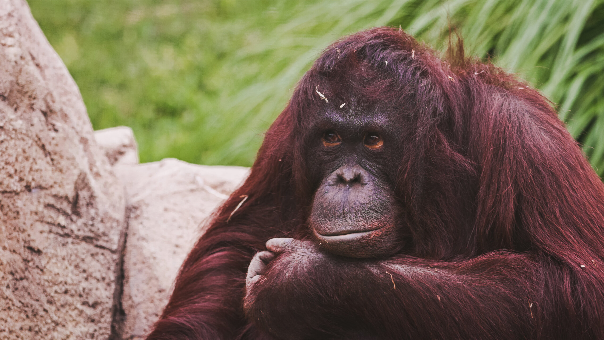 Visit the Virginia Zoo Animals Today!