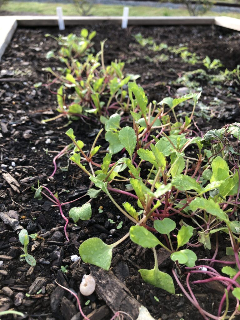 Visit the Virginia Zoo Animals Today!