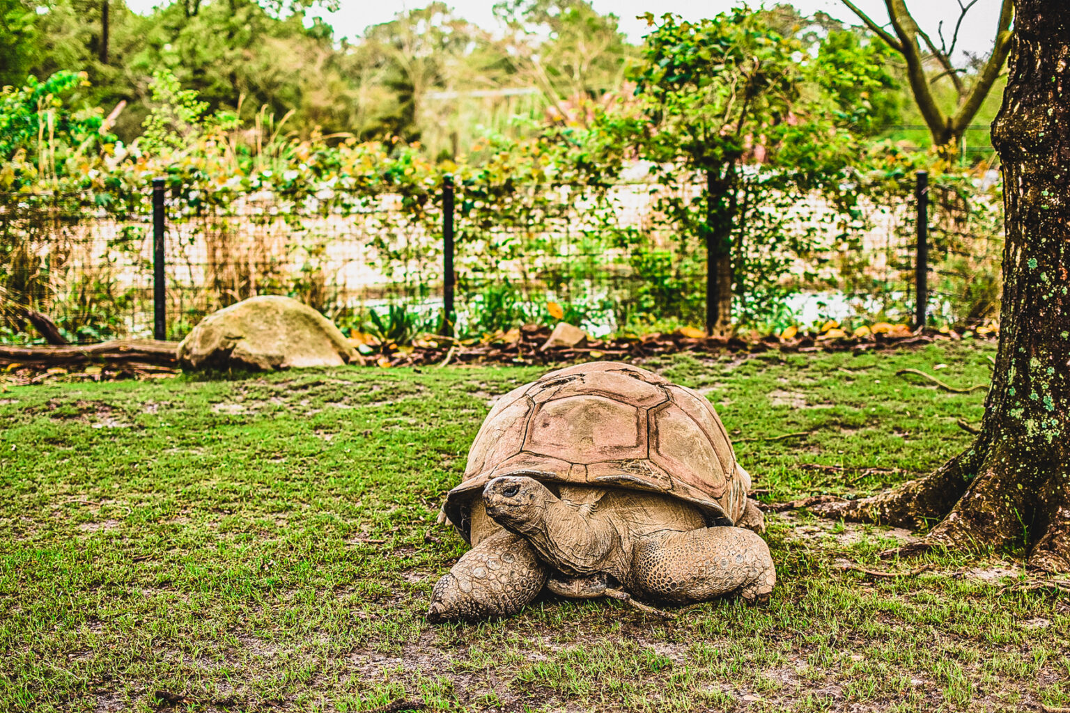 Visit the Virginia Zoo Animals Today!