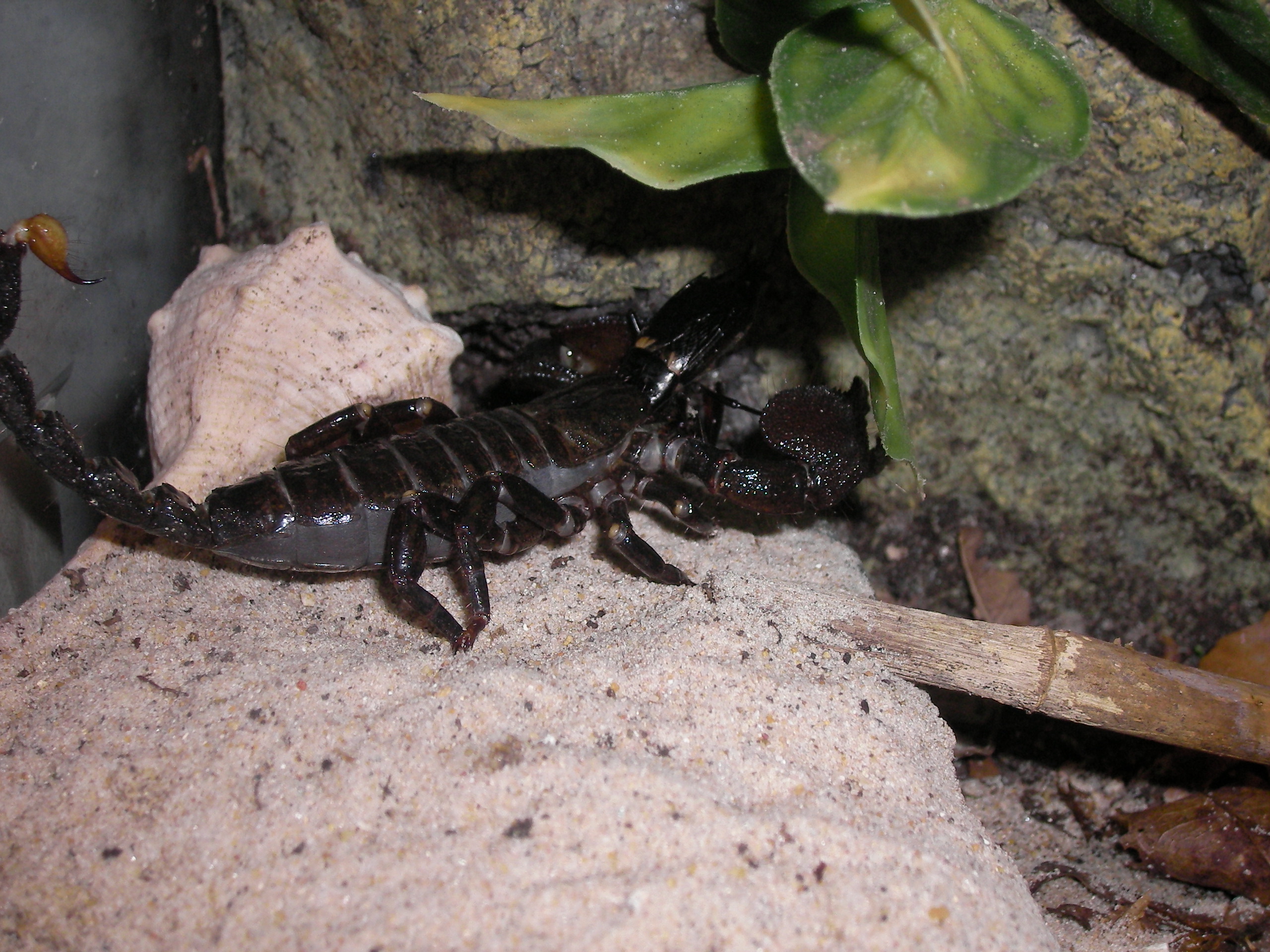 Visit the Virginia Zoo Animals Today!