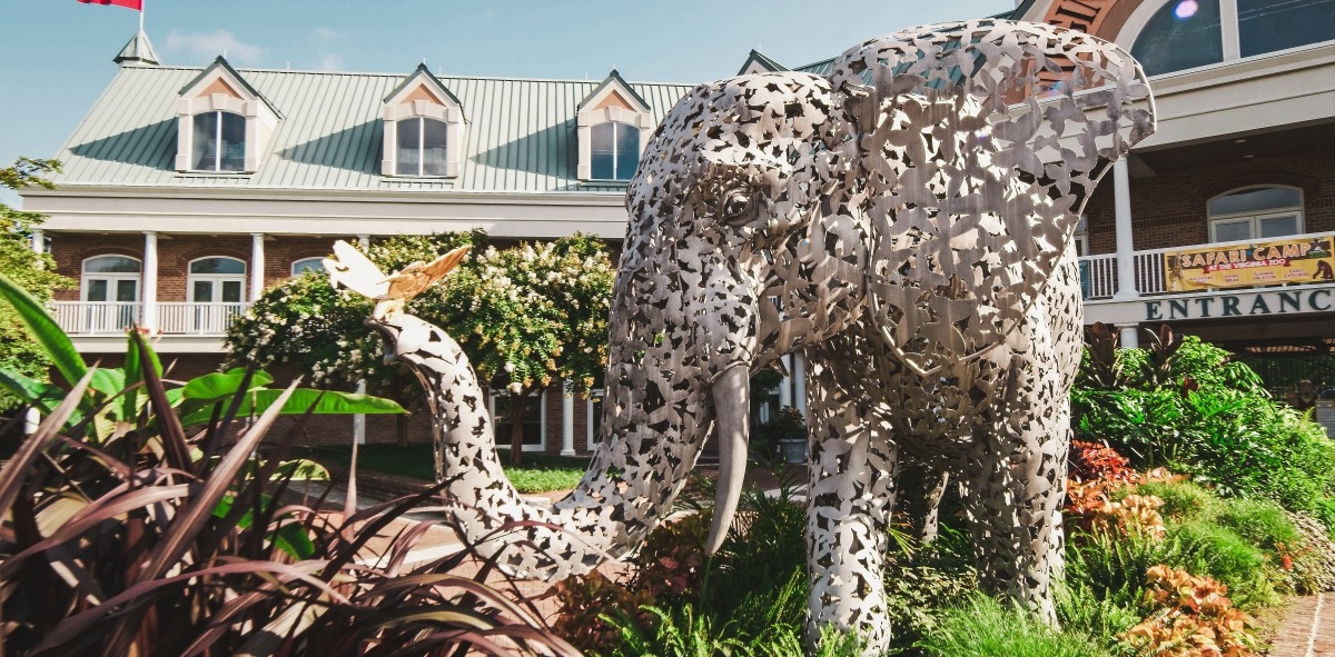 Press Releases - Virginia Zoo