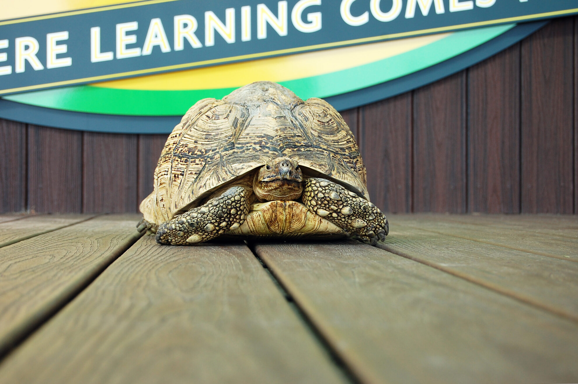 Visit the Virginia Zoo Animals Today!