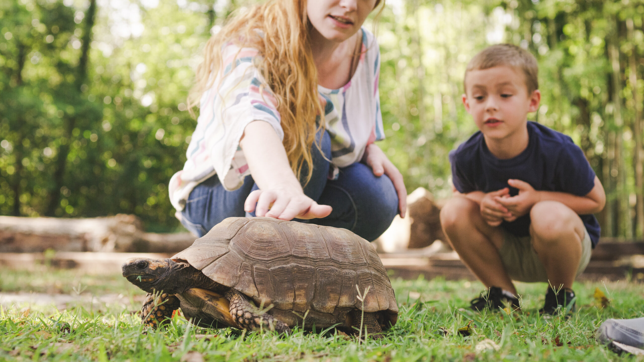 Visit the Virginia Zoo Animals Today!