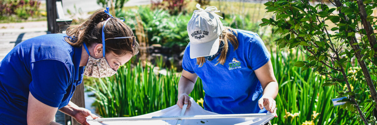 Community Science - Virginia Zoo