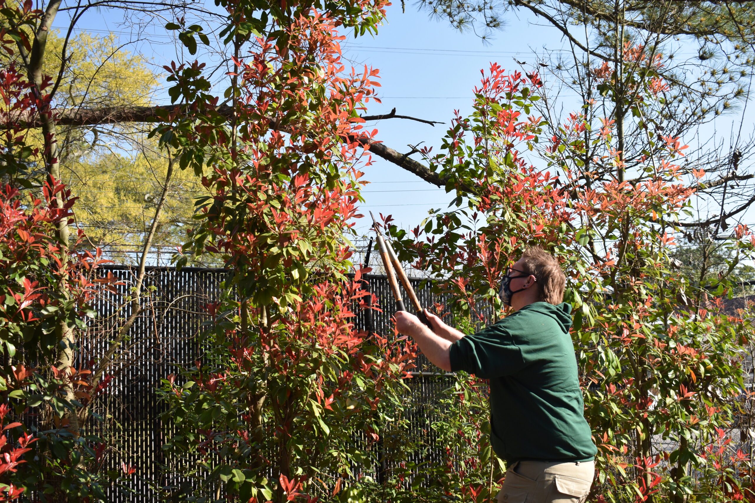Visit the Virginia Zoo Animals Today!