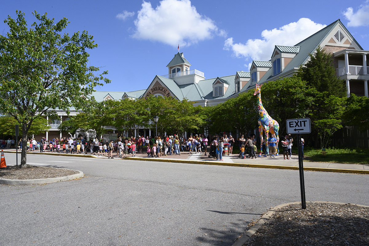 Visit the Virginia Zoo Animals Today!