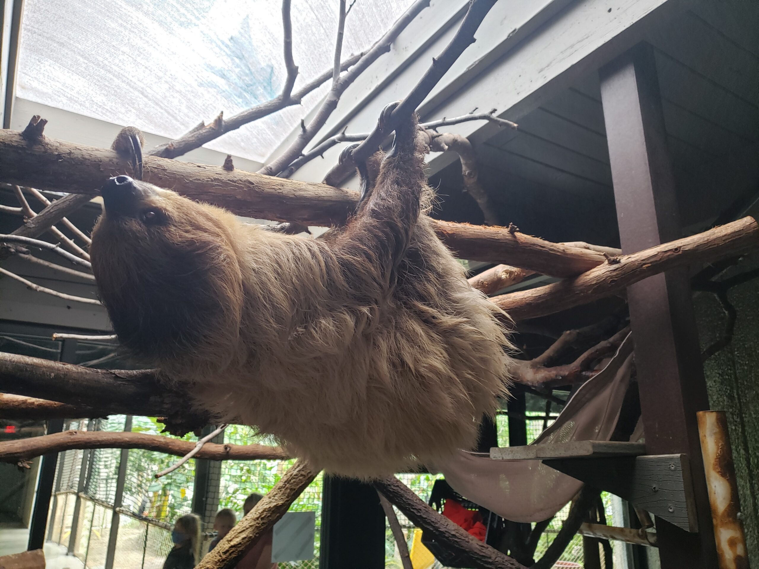 Visit the Virginia Zoo Animals Today!