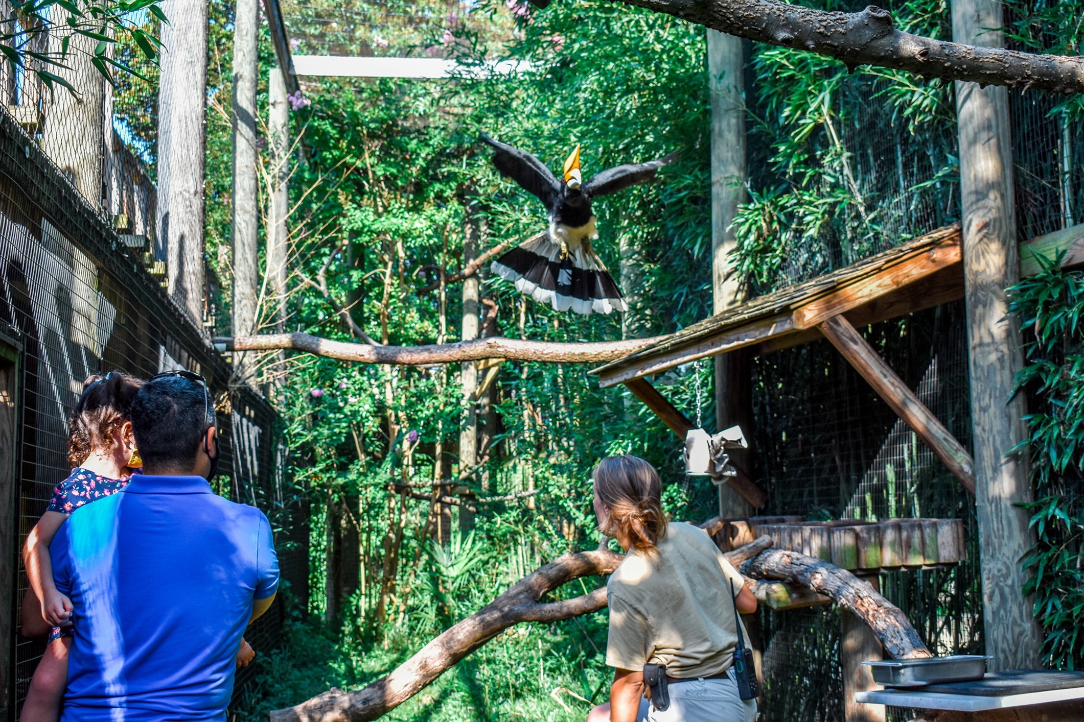 Visit the Virginia Zoo Animals Today!