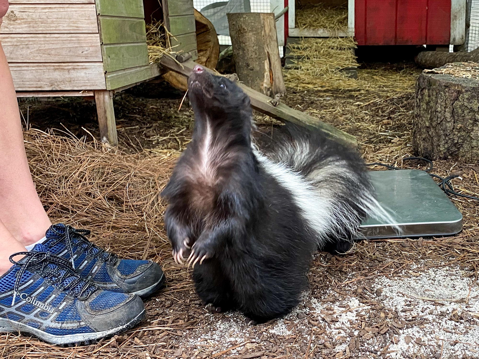 Visit the Virginia Zoo Animals Today!