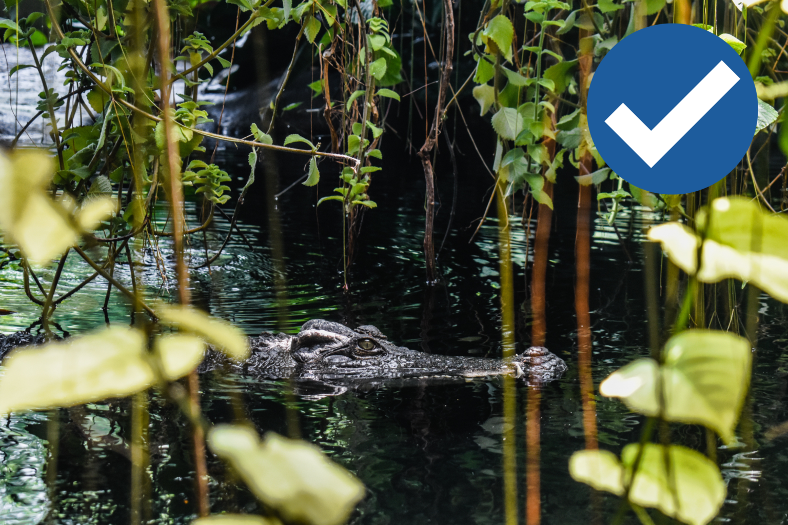 Visit the Virginia Zoo Animals Today!