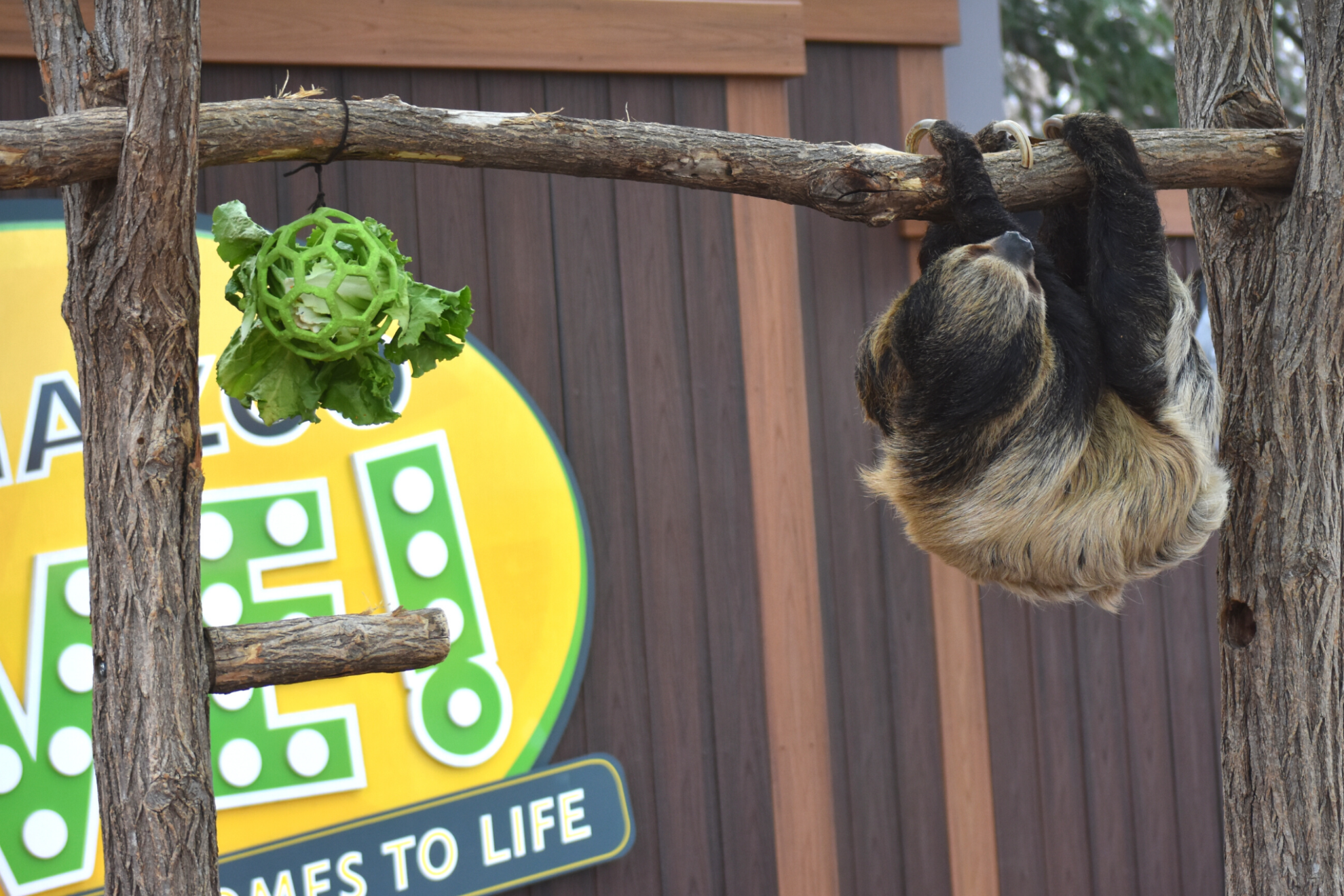 Visit the Virginia Zoo Animals Today!