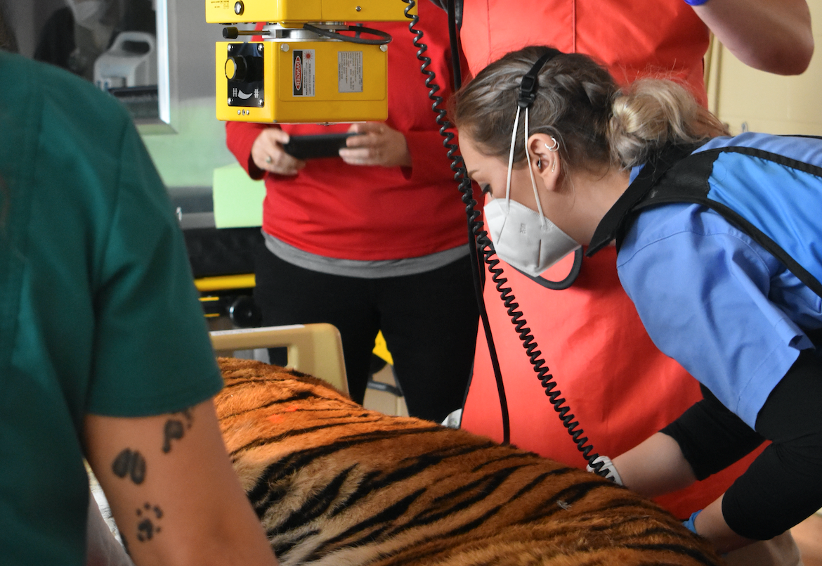 Visit the Virginia Zoo Animals Today!