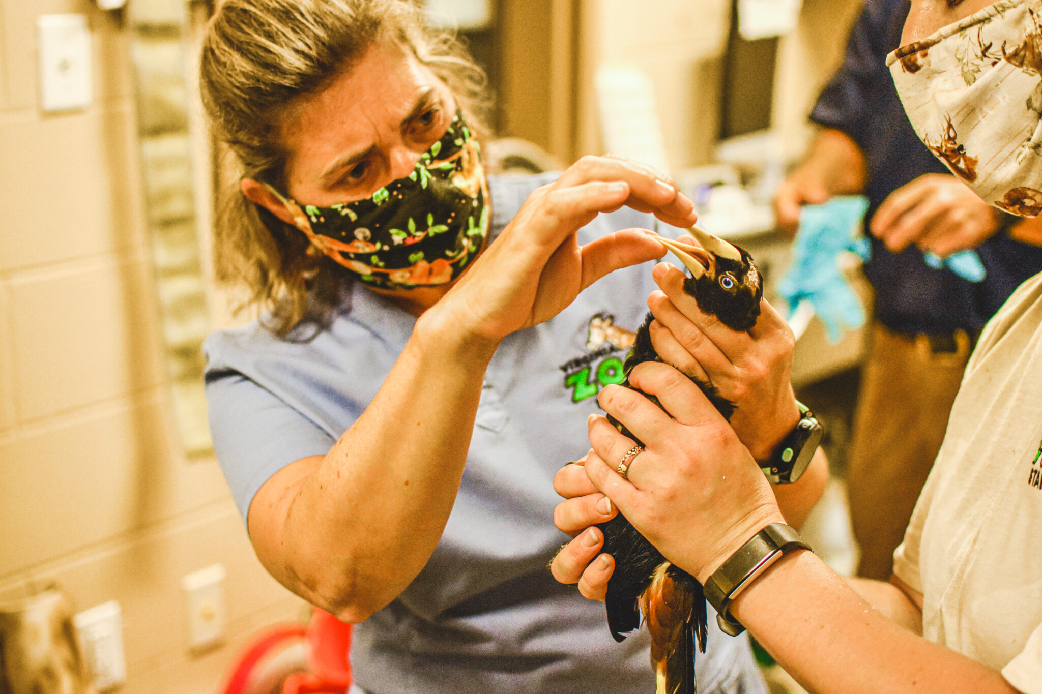 Visit the Virginia Zoo Animals Today!